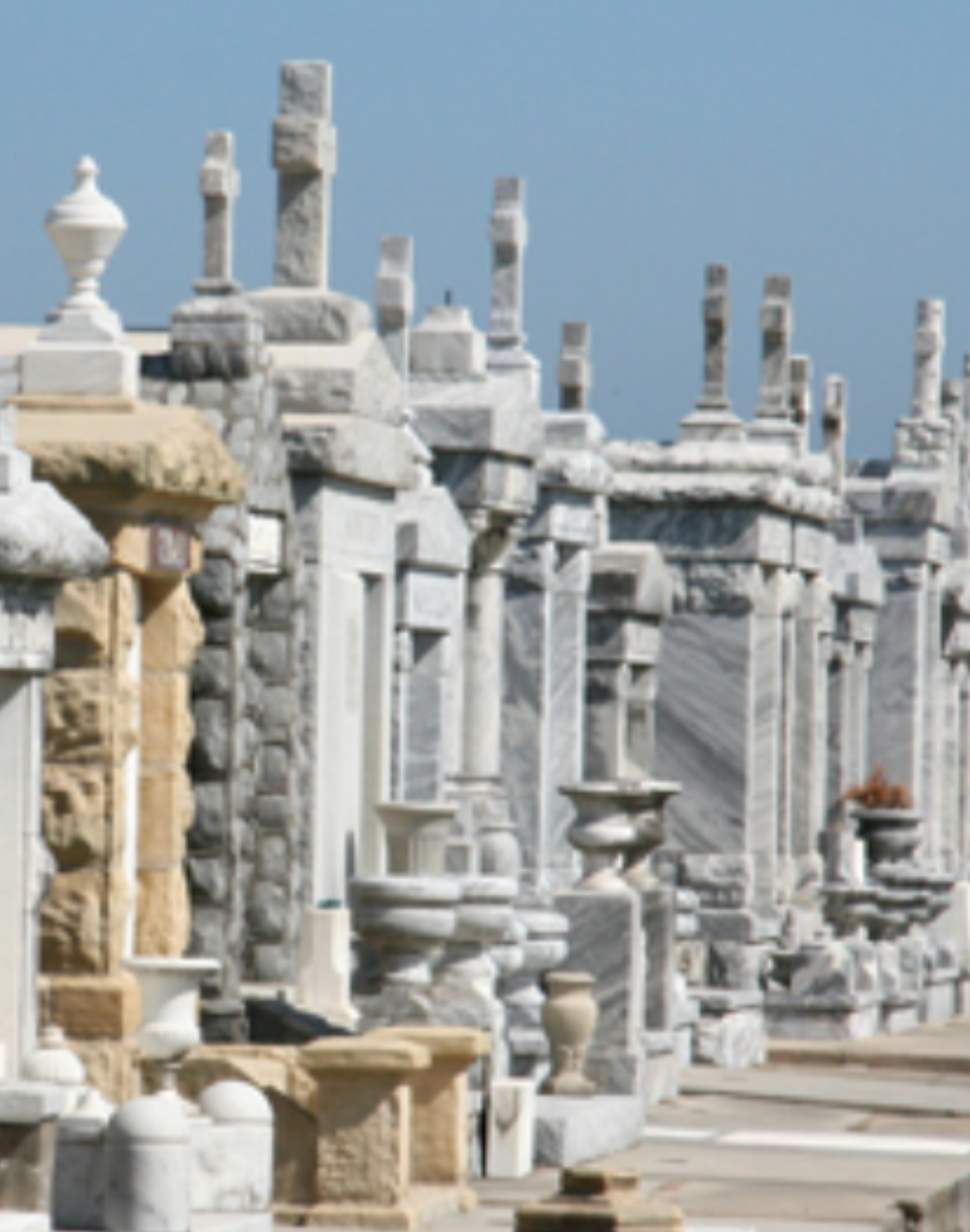 One time in New Orleans: Max Curry recommends cultural experiences